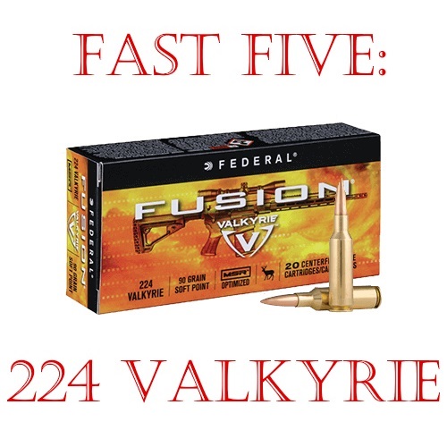 Fast Five: Best 224 Valkyrie Rifles | The Warrior Cartridge