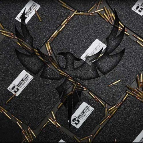 AR500 Armor Review | Level up your Protection