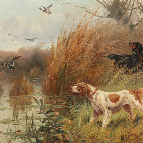 Hunting Dogs 101: More Than Just Man's Best Friend